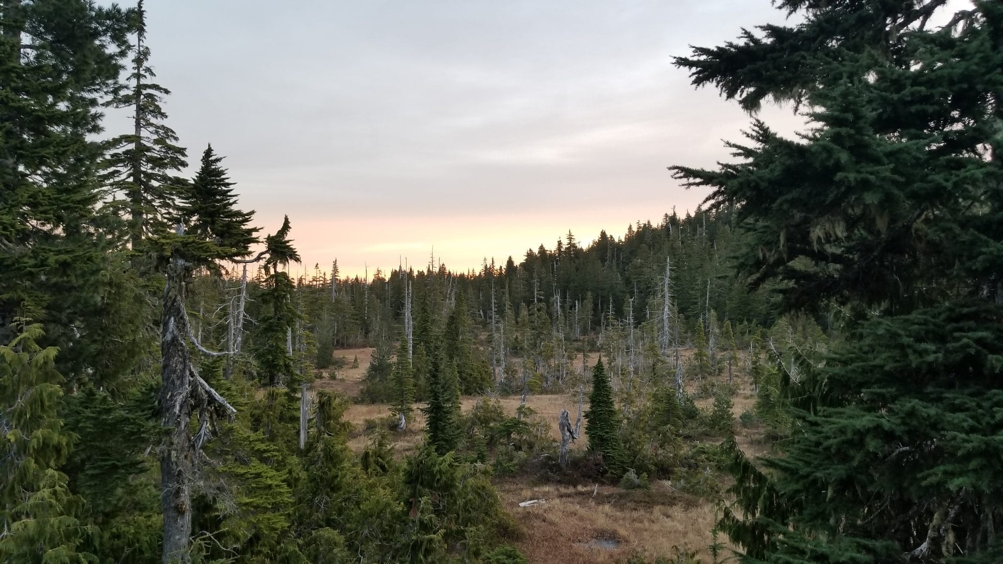 Snowshoe adventures on the Kludahk Trail near Victoria, BC - We Belong ...