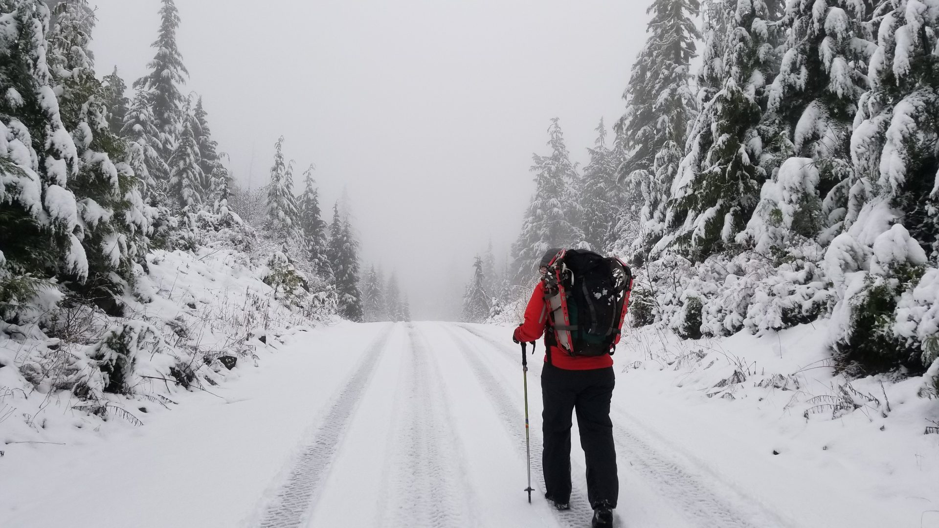 Snowshoe adventures on the Kludahk Trail near Victoria, BC - We Belong ...