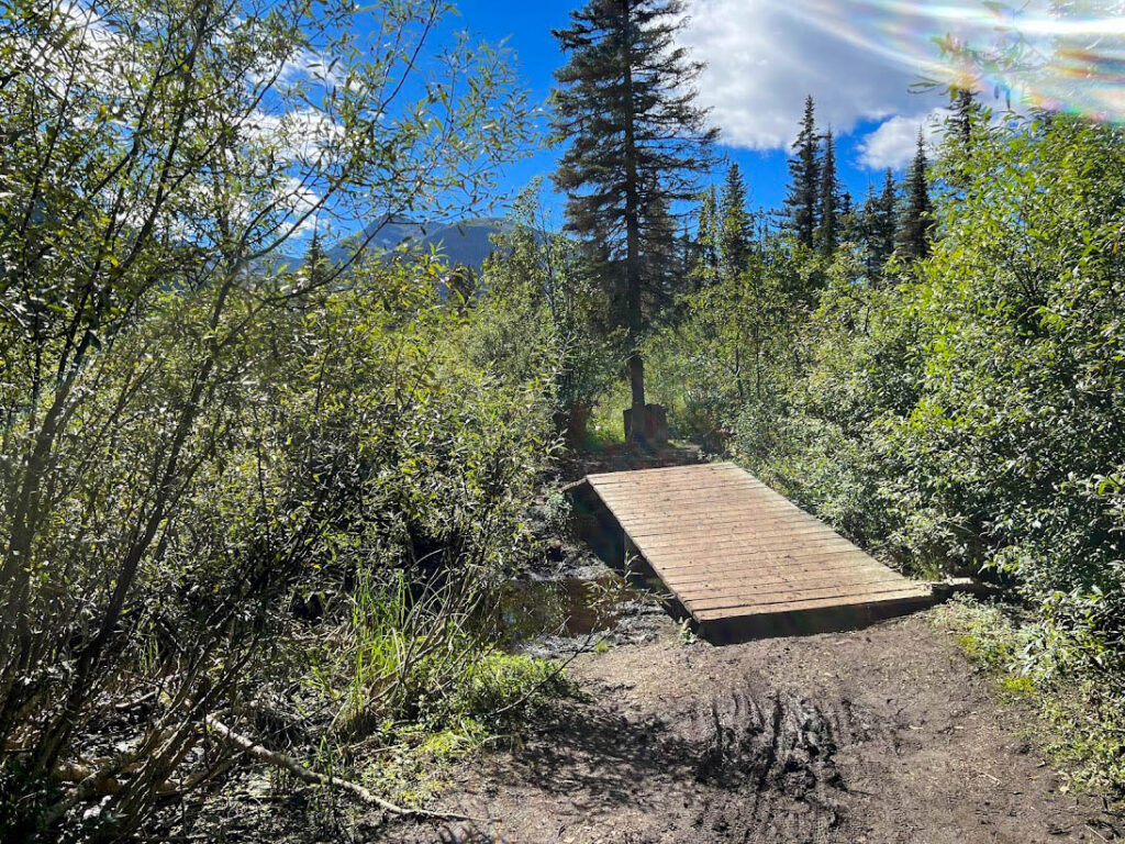 Bowron Lake Canoe Circuit - We Belong Outside