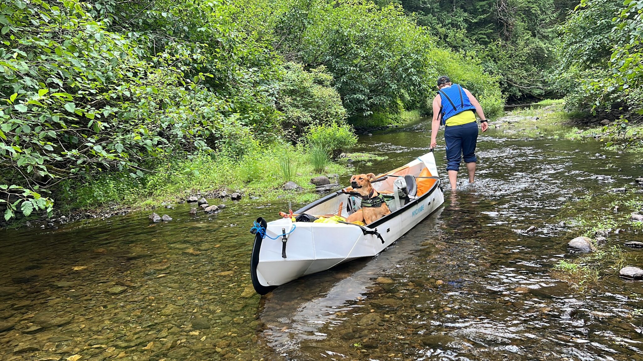 Taking a folding canoe on the beautiful Sayward Forest Canoe Route - We ...
